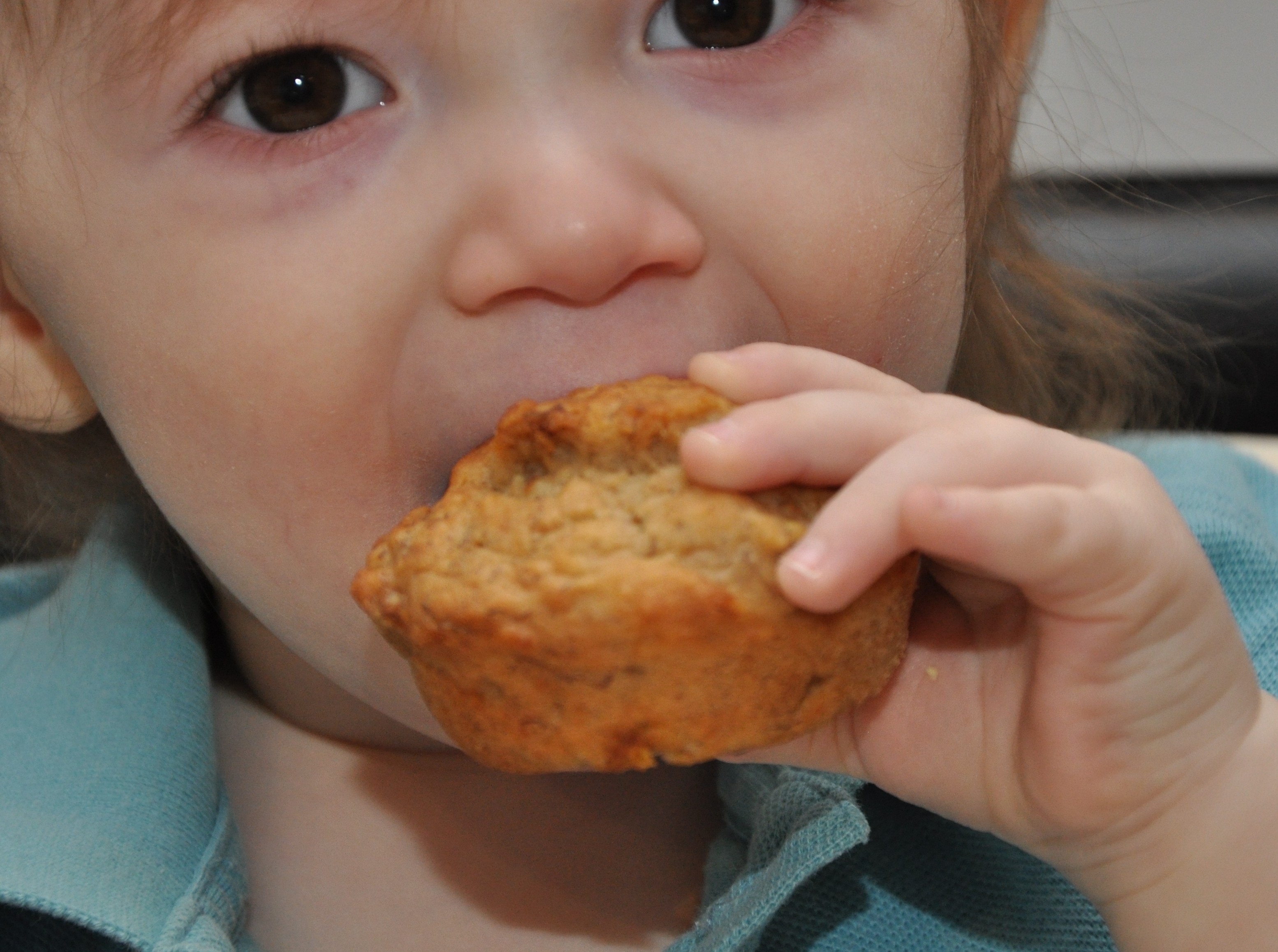 Golden Raisins – Muffin Mama